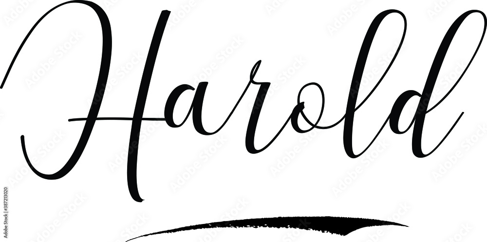 Harold -Male Name Cursive Calligraphy on White Background Stock Vector ...