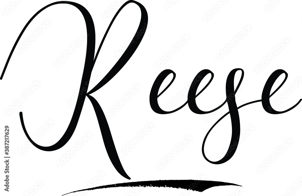 Reese -Male Name Cursive Calligraphy on White Background Stock Vector ...