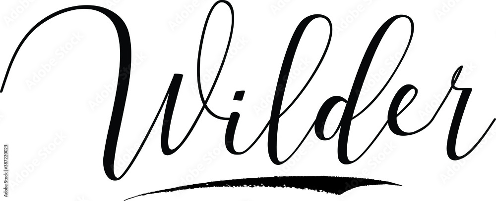 Wilder -Male Name Cursive Calligraphy on White Background Stock Vector ...