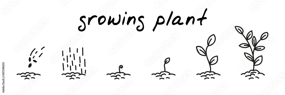 Plant growing concept handdrawn illustration. Cute cartoon vector clip ...