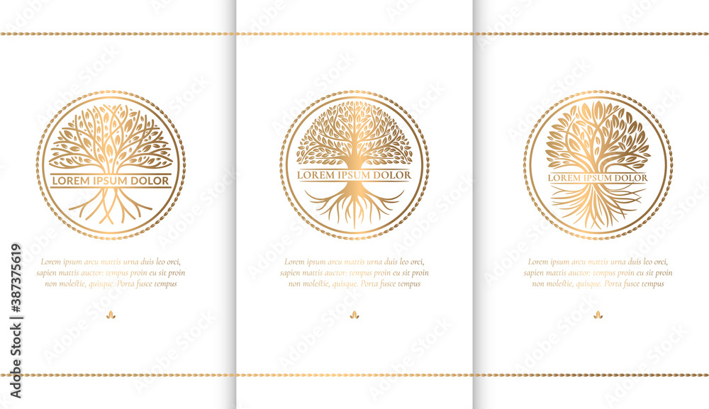 Set of abstract golden tree logos. Modern vector illustration. Isolated ...
