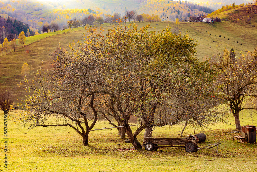 Trees in a green garden with tumbrel inside. It has a steep hill ...