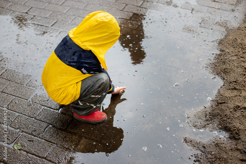 young child playing with water in a puddle touching the surface and its ...
