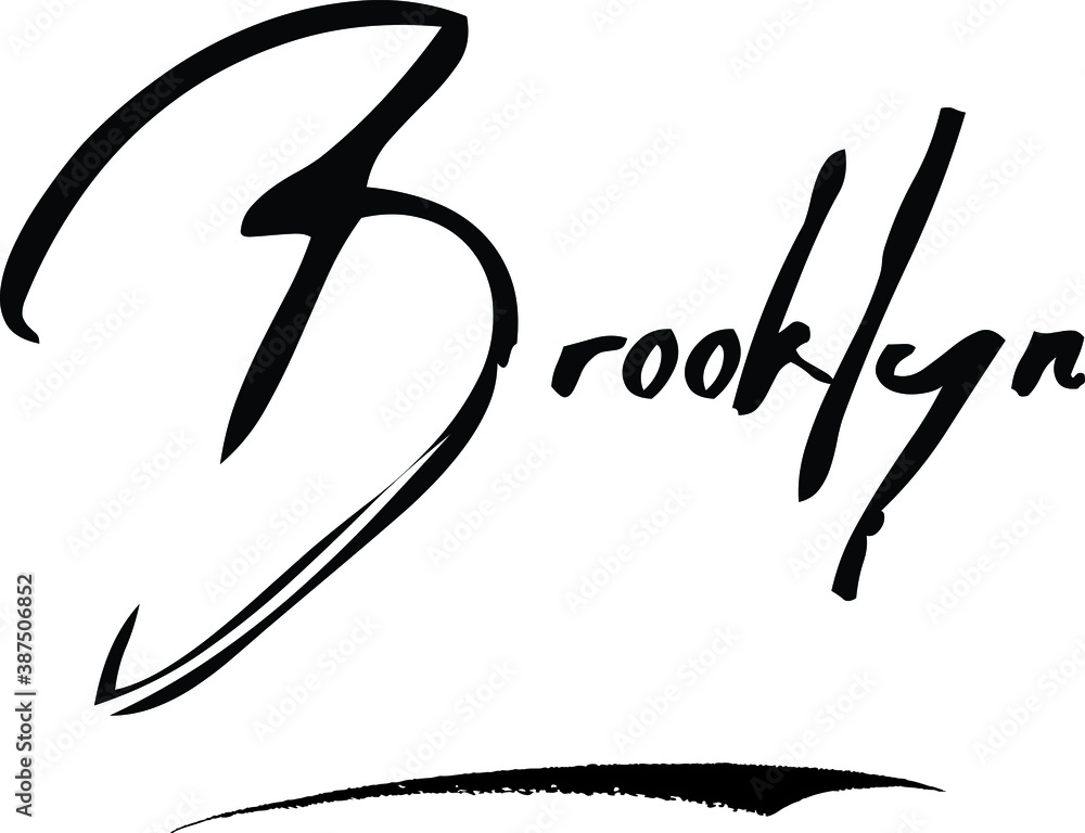Brooklyn -Female Name Modern Brush Calligraphy Cursive Text on White ...