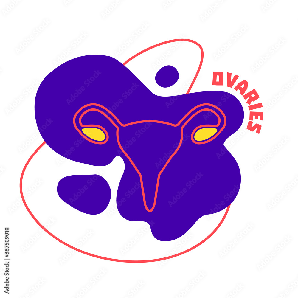 Ovaries endocrine and female reproductive systems body organ outline ...