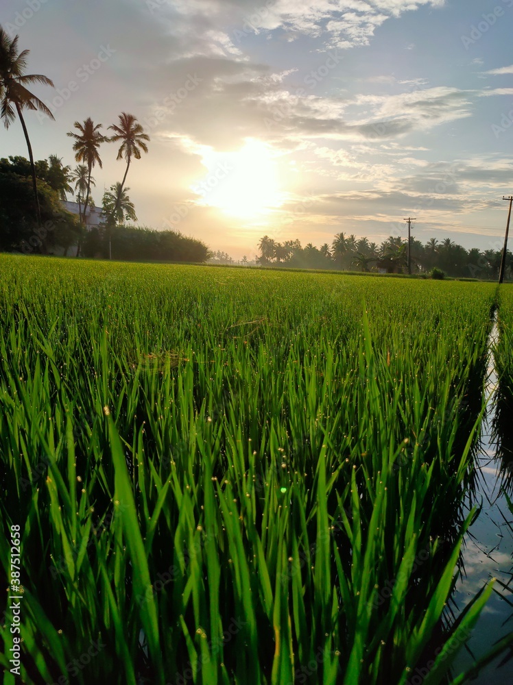 Sunrise view Stock Photo | Adobe Stock