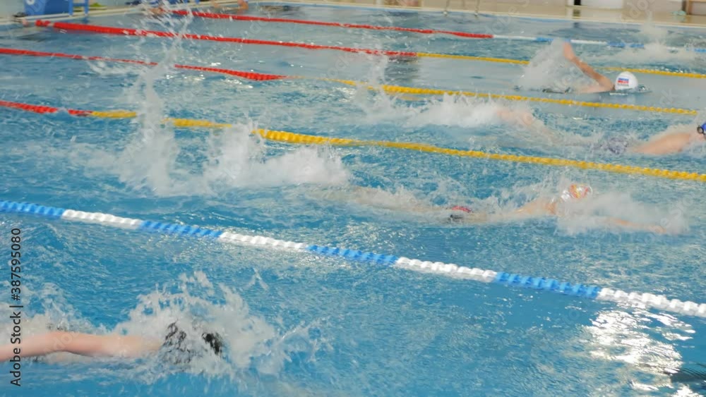sports swimmers teenagers jumped into the pool and swim very fast ...