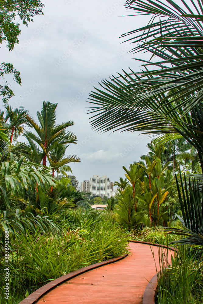 Singapore Oct 23rd 2020: Rasau Walk in Jurong Lake Gardens. A ...