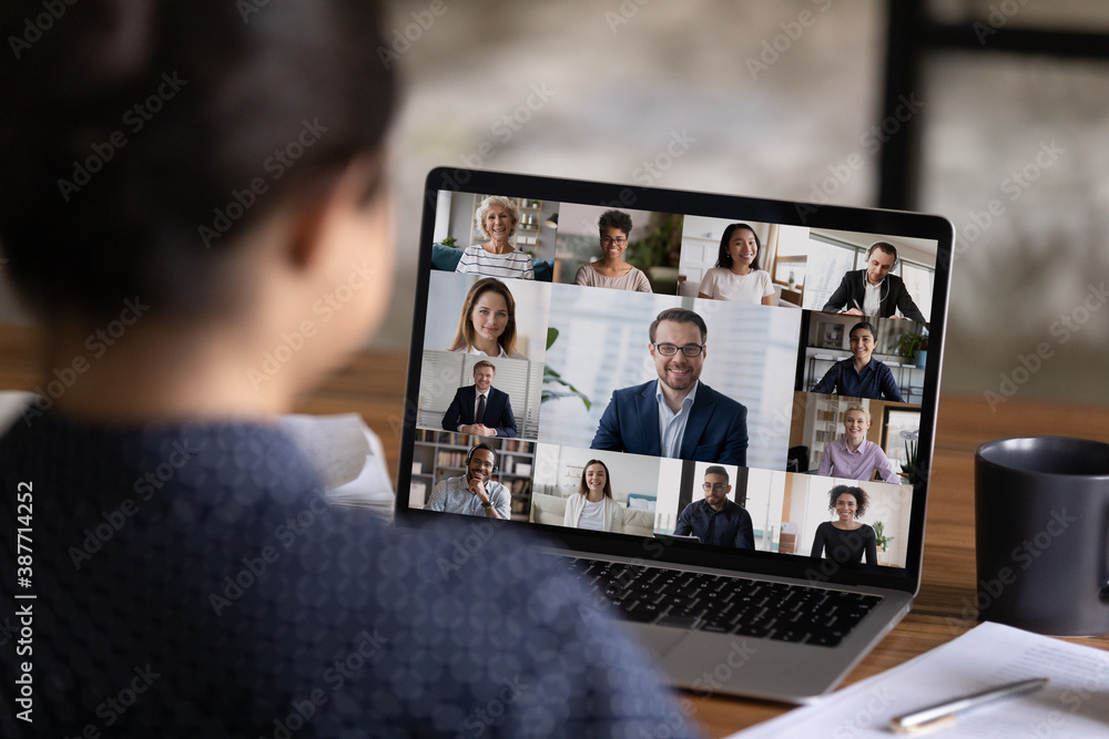 Back view of woman employee talk speak on video call with diverse ...