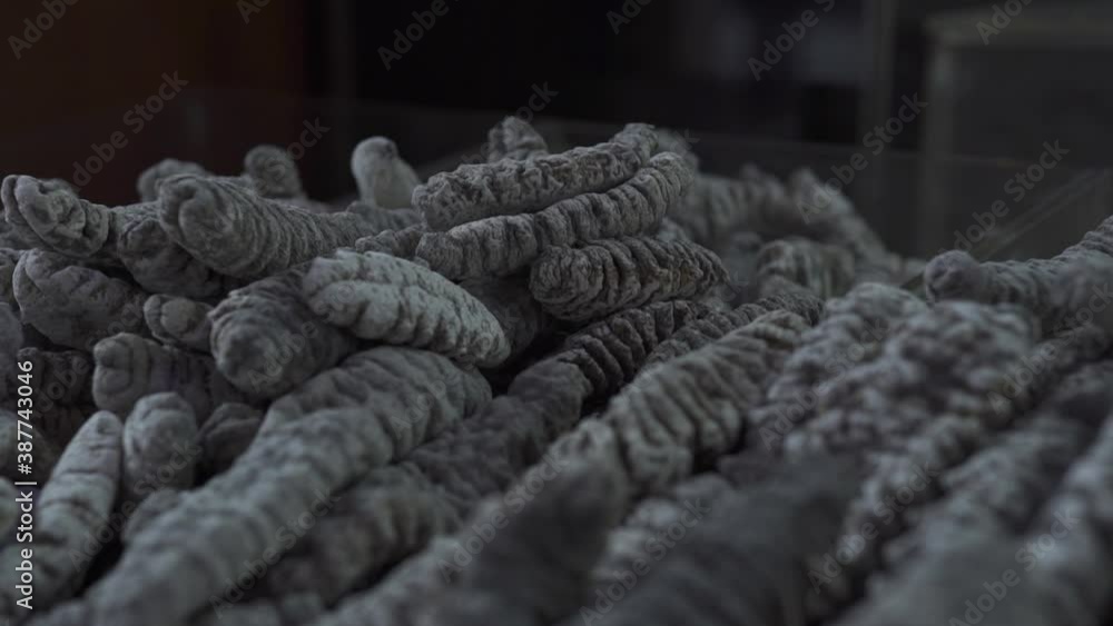 Large pile of numerous grey cooked larvae in container standing on ...