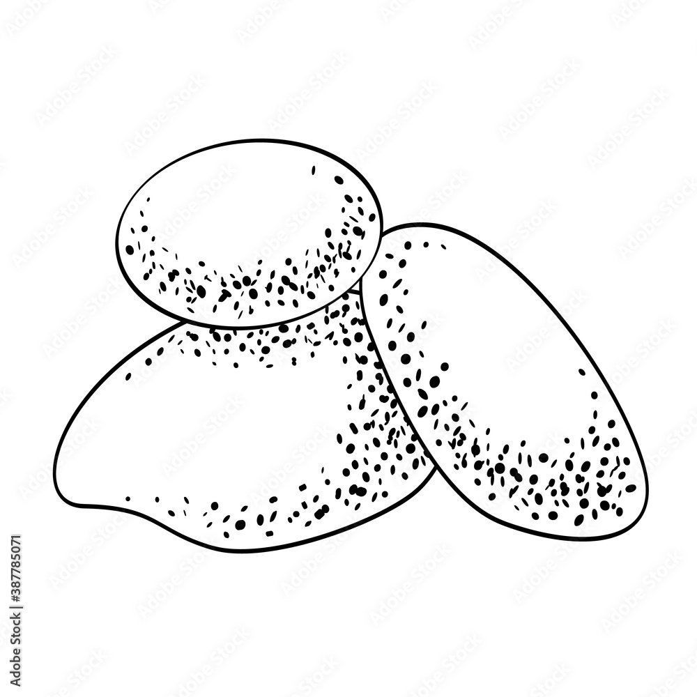 Sea or river pebbles in a doodle style, isolated on white background ...