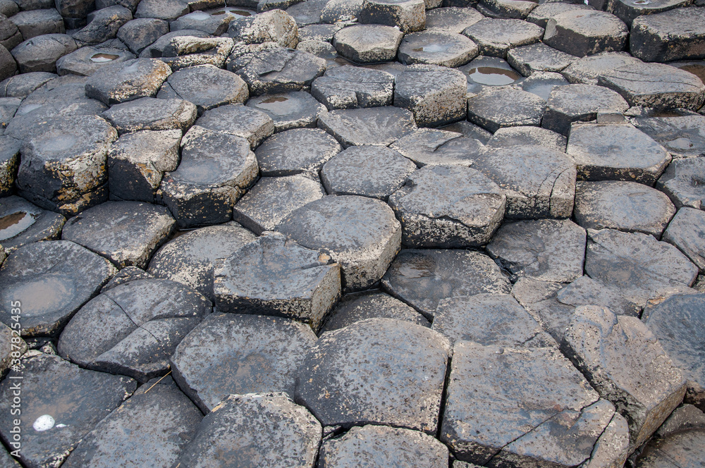 Ancient baltic columns formed by a volcanic explosion millions of years ...