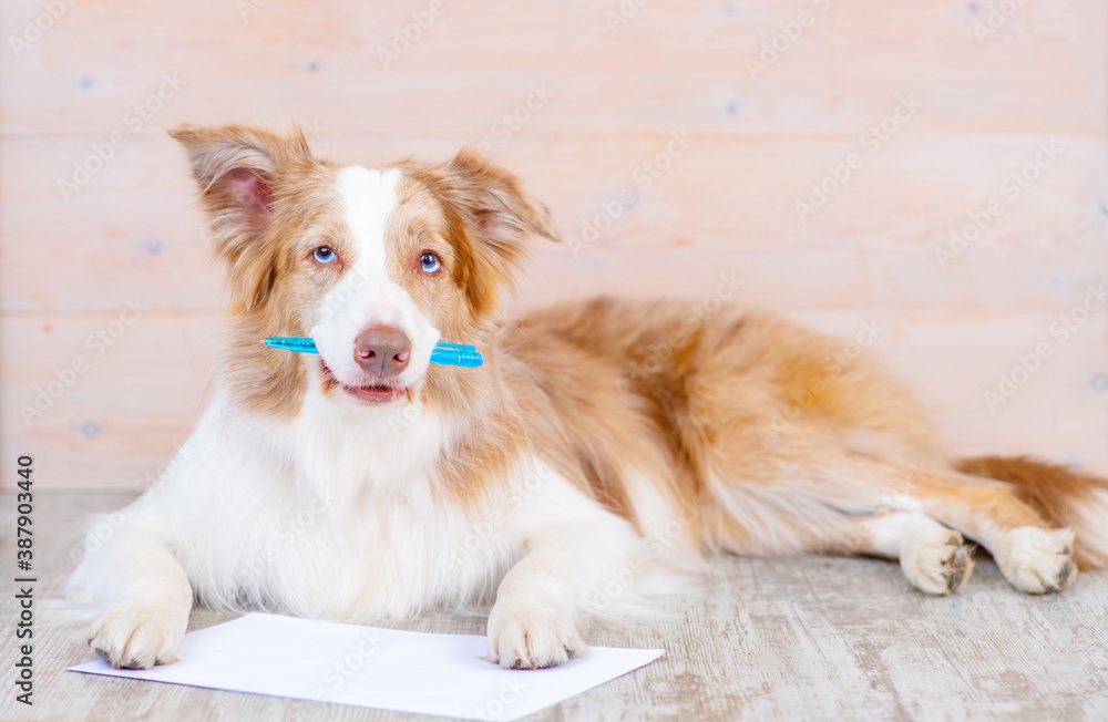 Dog Writing A Letter