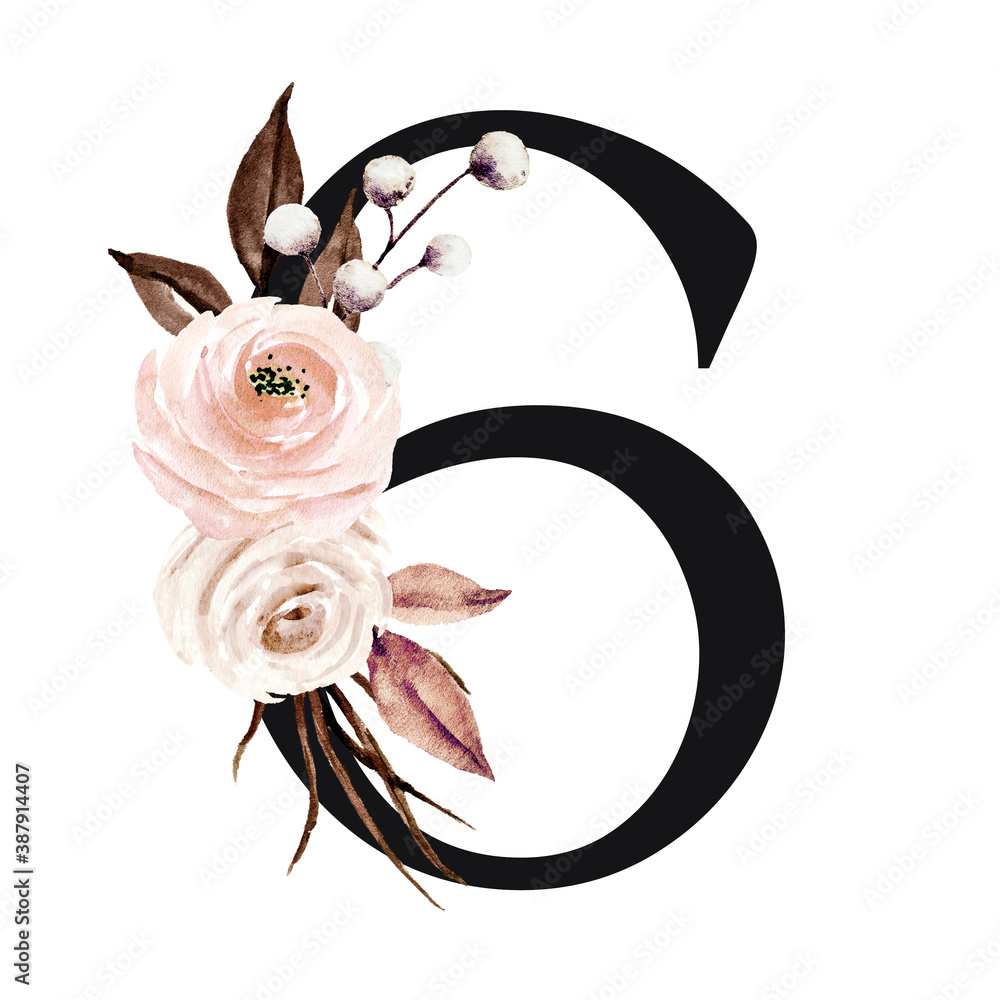 Number 6 with watercolor flowers roses hand painting. Digital ...