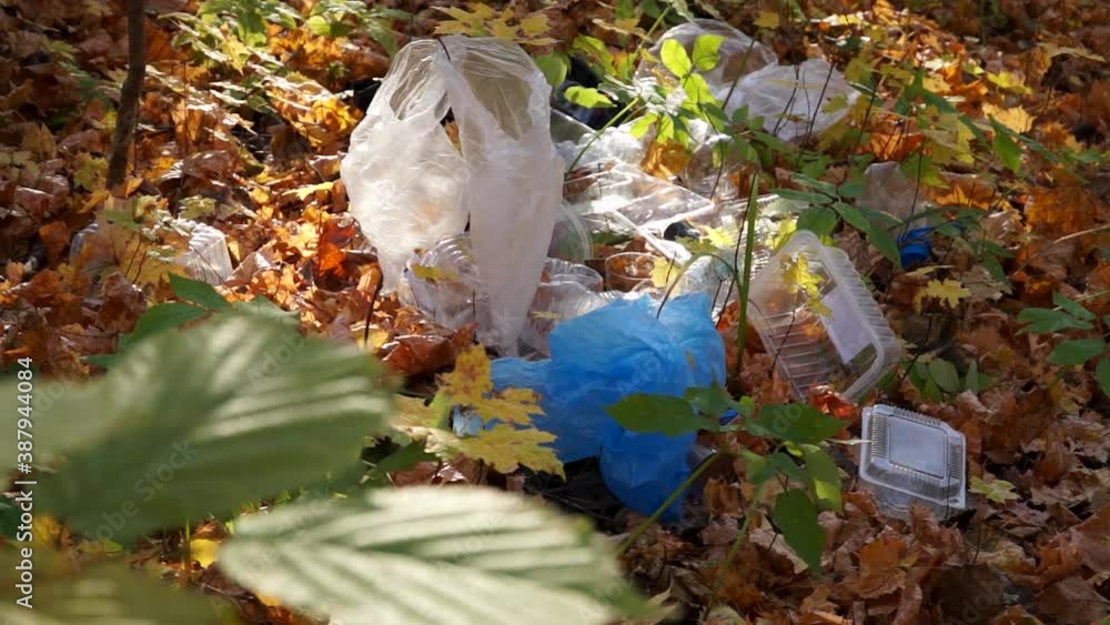 Vidéo Stock A bad man throws garbage out of a plastic trash bag in the ...