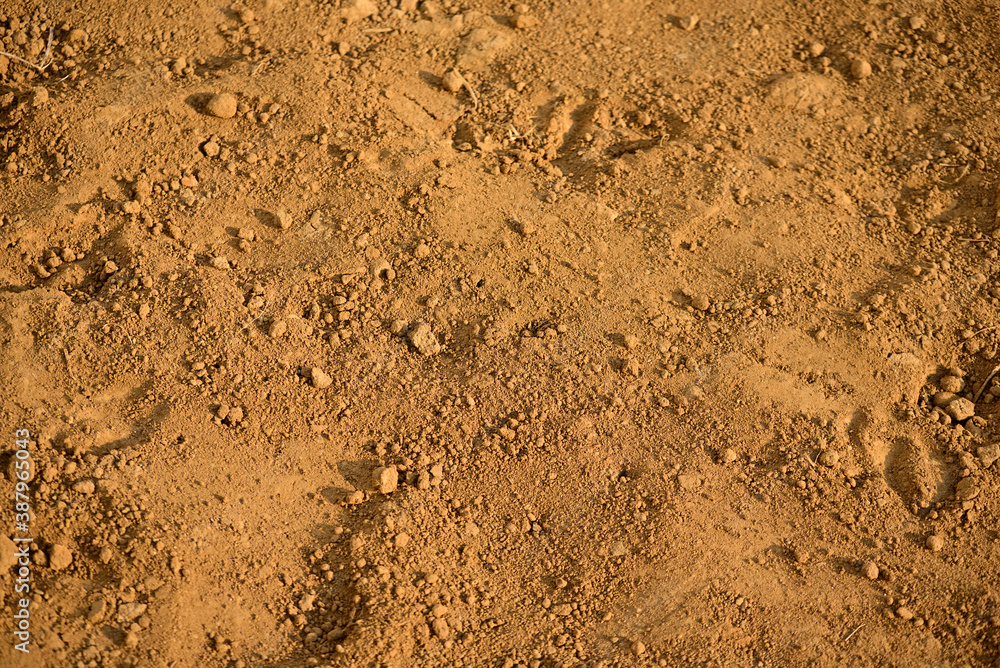 Soil soil texture background in garden Stock Photo | Adobe Stock