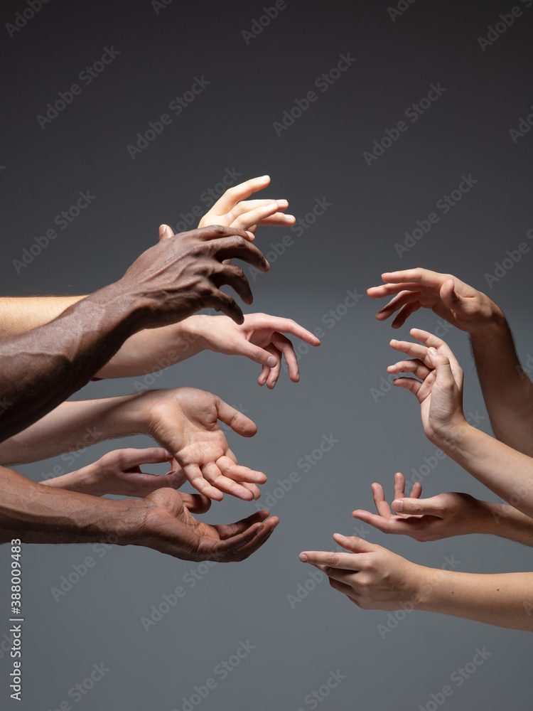 Talks. Hands of people's crows in touch isolated on grey studio ...