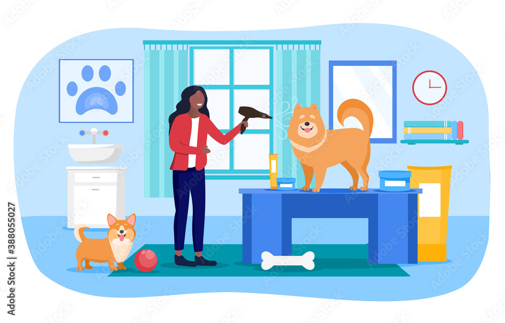 Animal care concept. A girl dries her husky or malamute dog with a ...