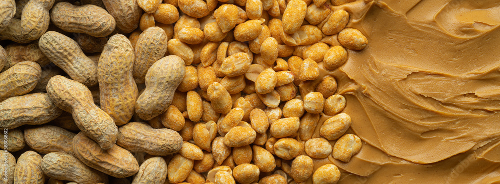 Lifecycle of the Peanut Stock Photo | Adobe Stock