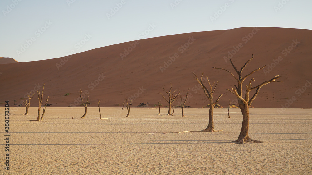 Namib desert Deadvlei "Dead Trees" in Sossusvlei located in the Namib ...