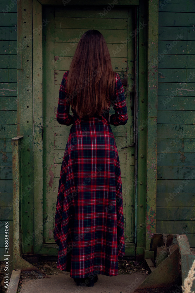 A girl with long hair stands back. Back of a girl in a red dress. Stock ...