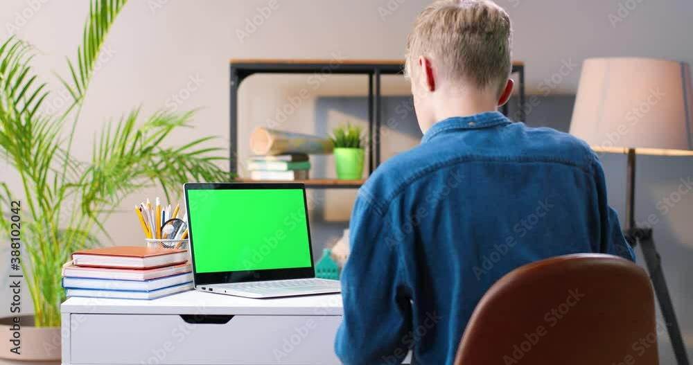 Rear. Caucasian boy sitting at desk at home and studying online on ...