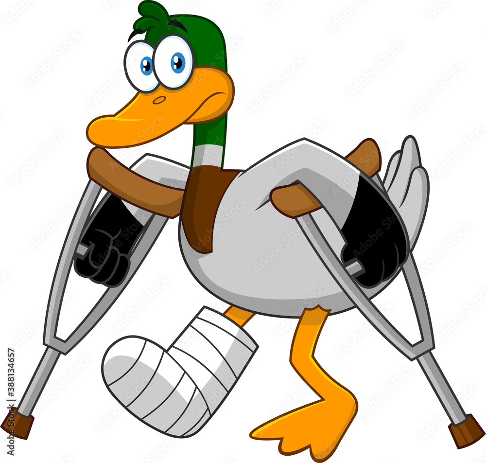 Sad Duck Cartoon Character With Crutches And Plastered Leg. Vector ...