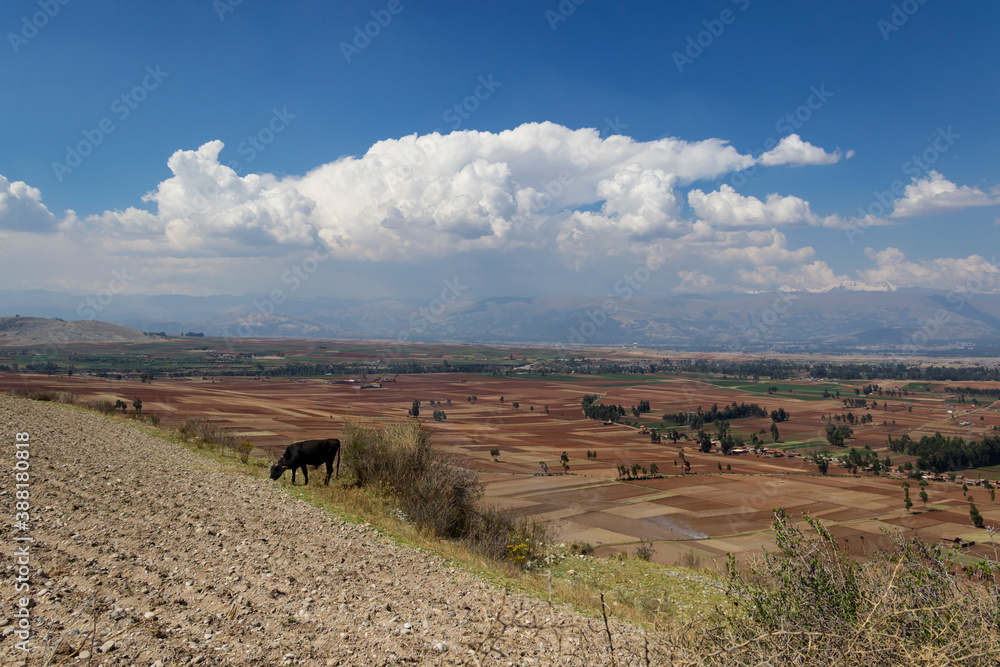 Paisaje típico de la sierra del Perú Stock Photo | Adobe Stock