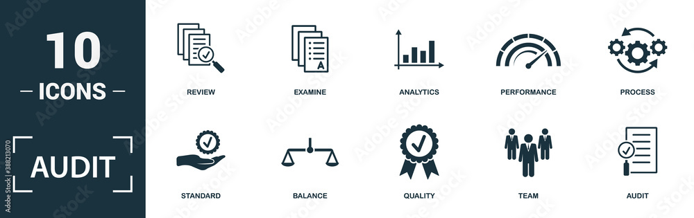 Audit icon set. Monochrome sign collection with review, examine ...