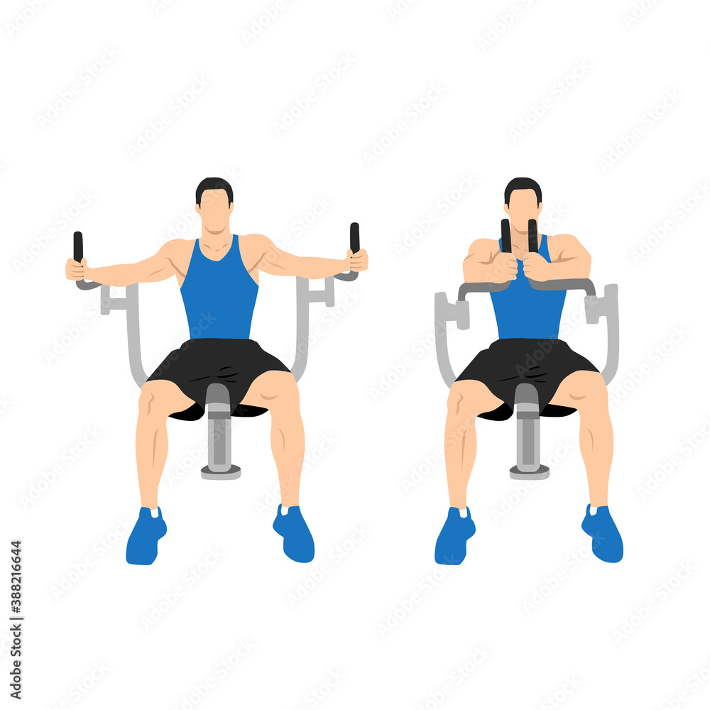 Vecteur Stock Man butterflies,pec deck,seated machine flyes flat vector ...