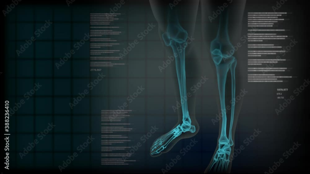 Scientific seamless looping background with x-ray human body and ...