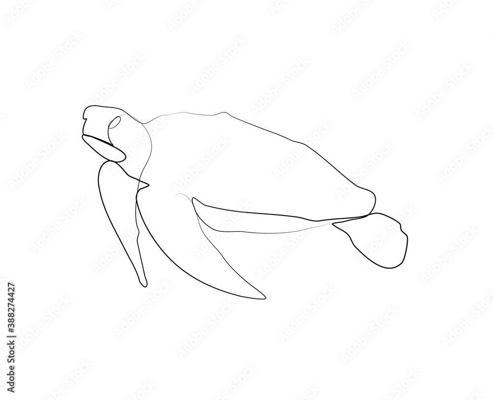 SINGLE-LINE DRAWING OF A TURTLE. This hand-drawn, continuous, line ...