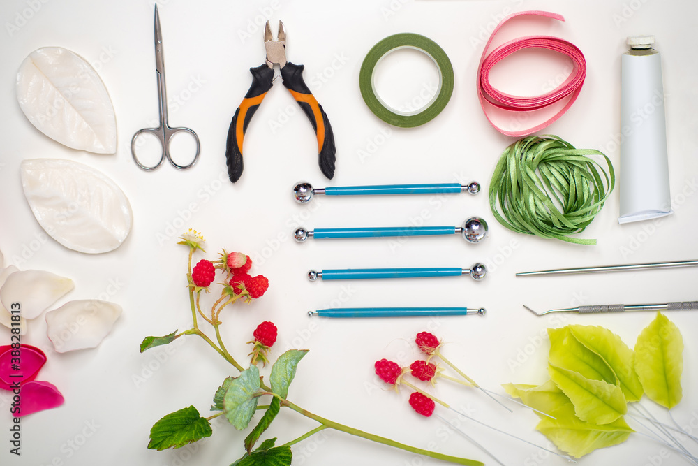 Botanist's desk. The table of a man working with plants. Botanist ...