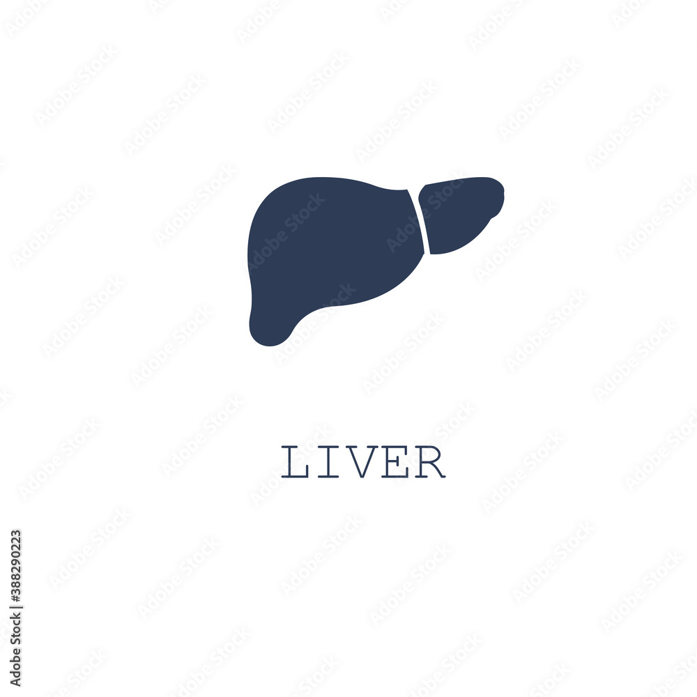 Liver icon on white background. Vector illustration in flat cartoon ...