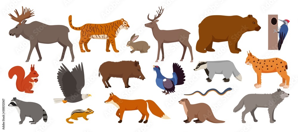 Forest animals isolated on white set of vector illustration. Woodland ...