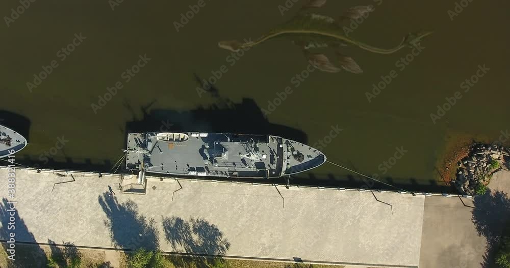 Aerial view in muddy water: Dragon, monster of prehistoric era, floats ...