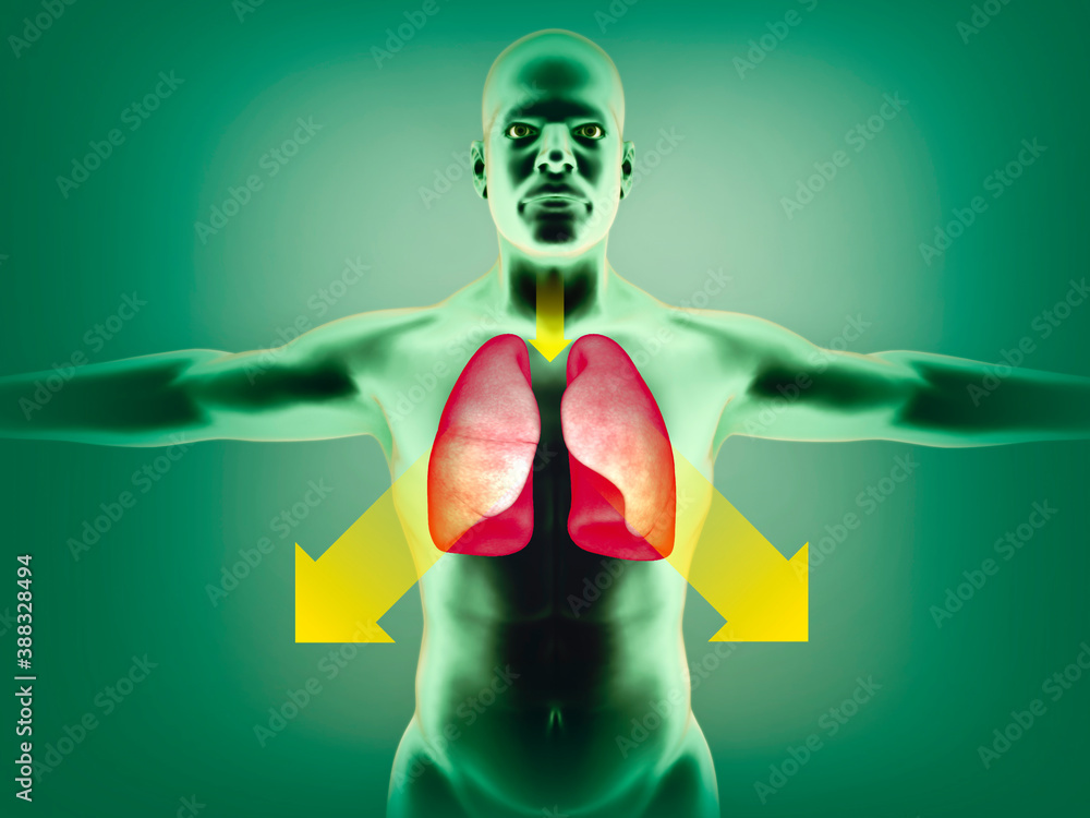 Human body anatomy, lungs and cough. Medicinal product to dissolve ...