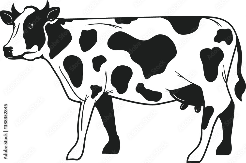 Fototapeta Cow svg file, Cow with Glasses Bowtie svg, Cow cut file ...