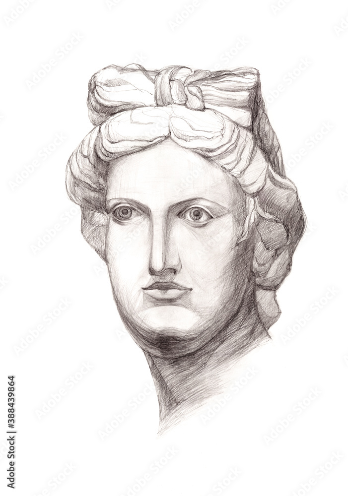 Fine art. Head of the Artemis. Face. Academic Professional Drawing ...
