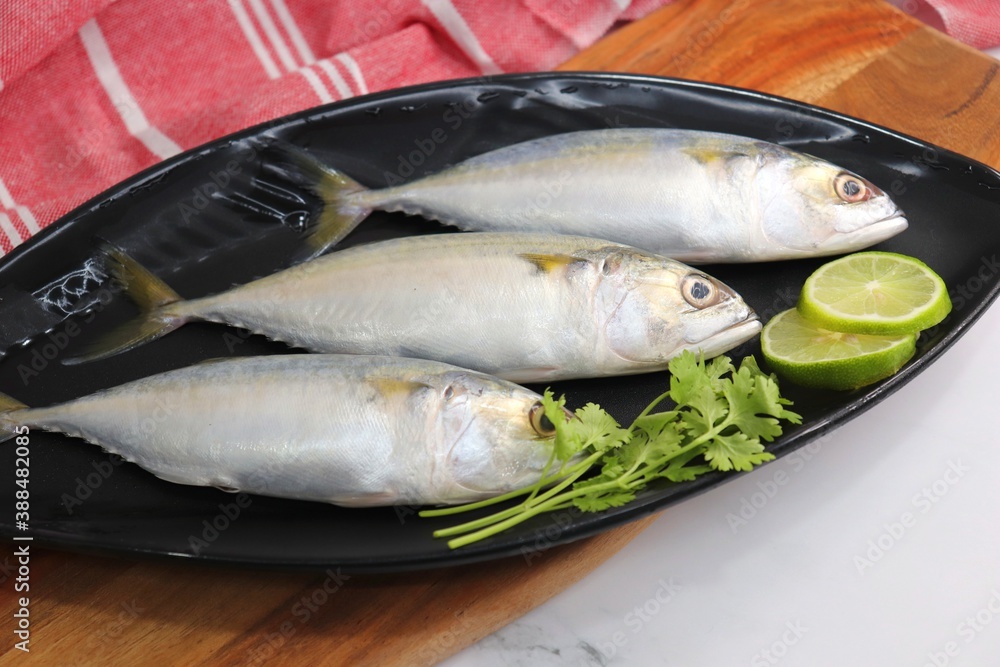 Uncooked Indian mackerel fish Rastrelliger kanagurta. also known as ...