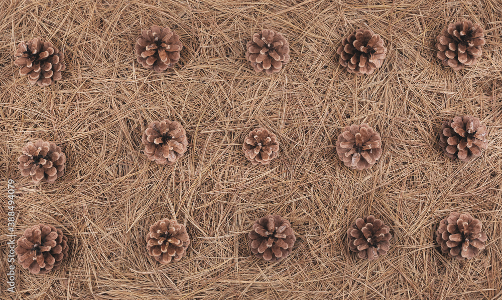 Pine cone seasonal background with copy space. Natural brown texture ...