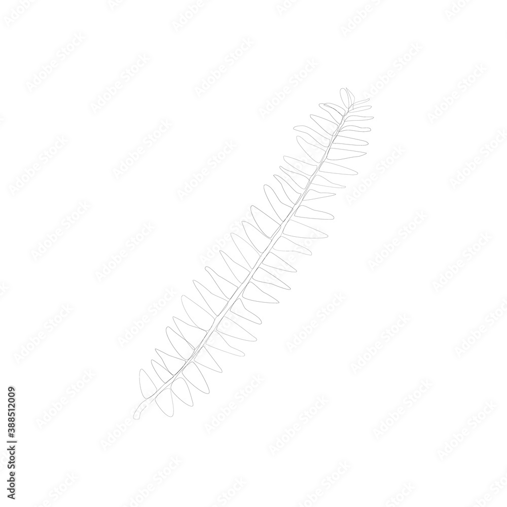 SINGLE-LINE DRAWING: Fern Leaves, Botanical 23. This hand-drawn ...