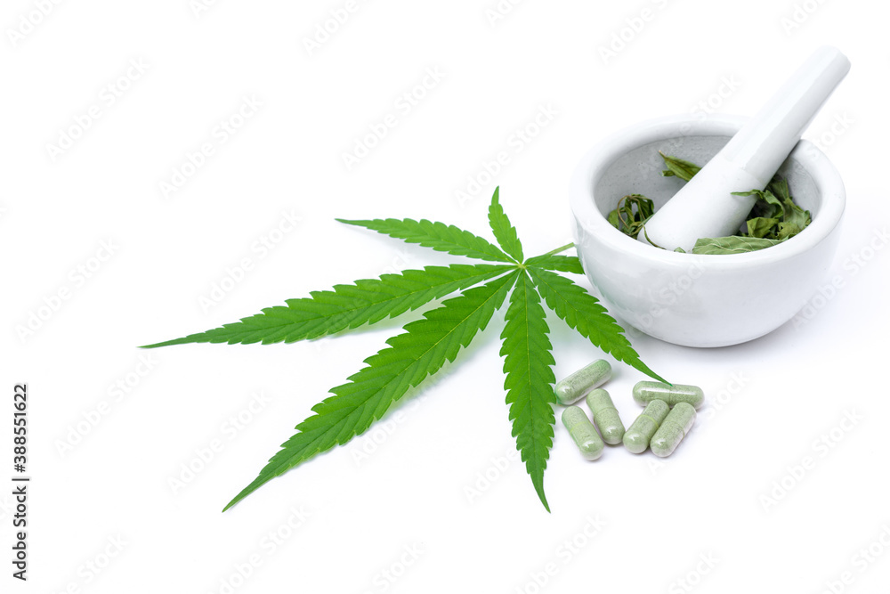 Dry cannabis leaves in ceramic mortar with cannabis green leaf and ...