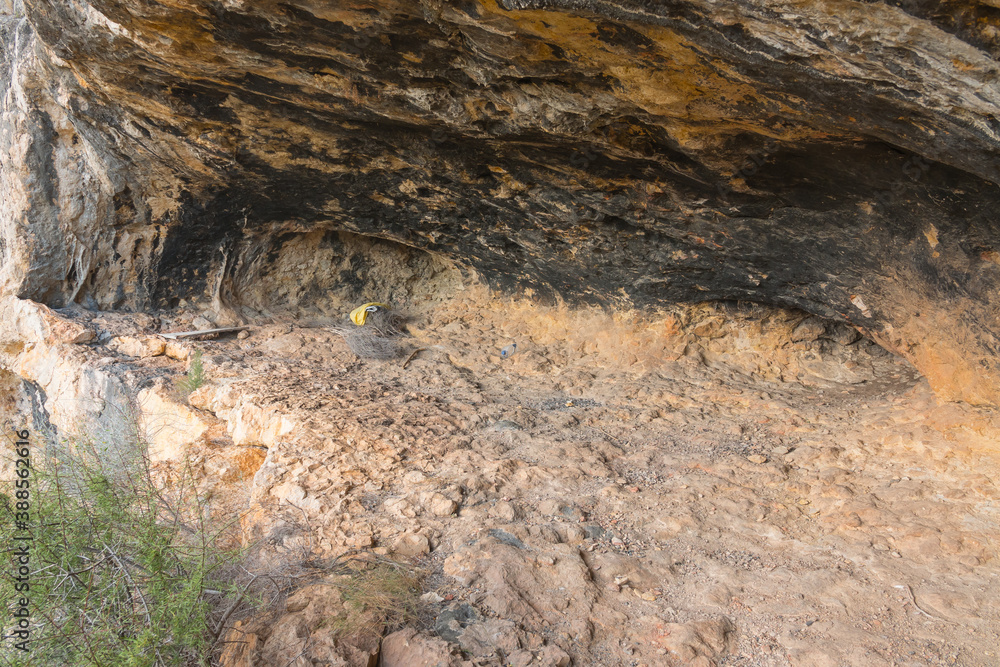 Beautiful natural cave on a cliff. Prehistoric excavation. Neanderthal ...