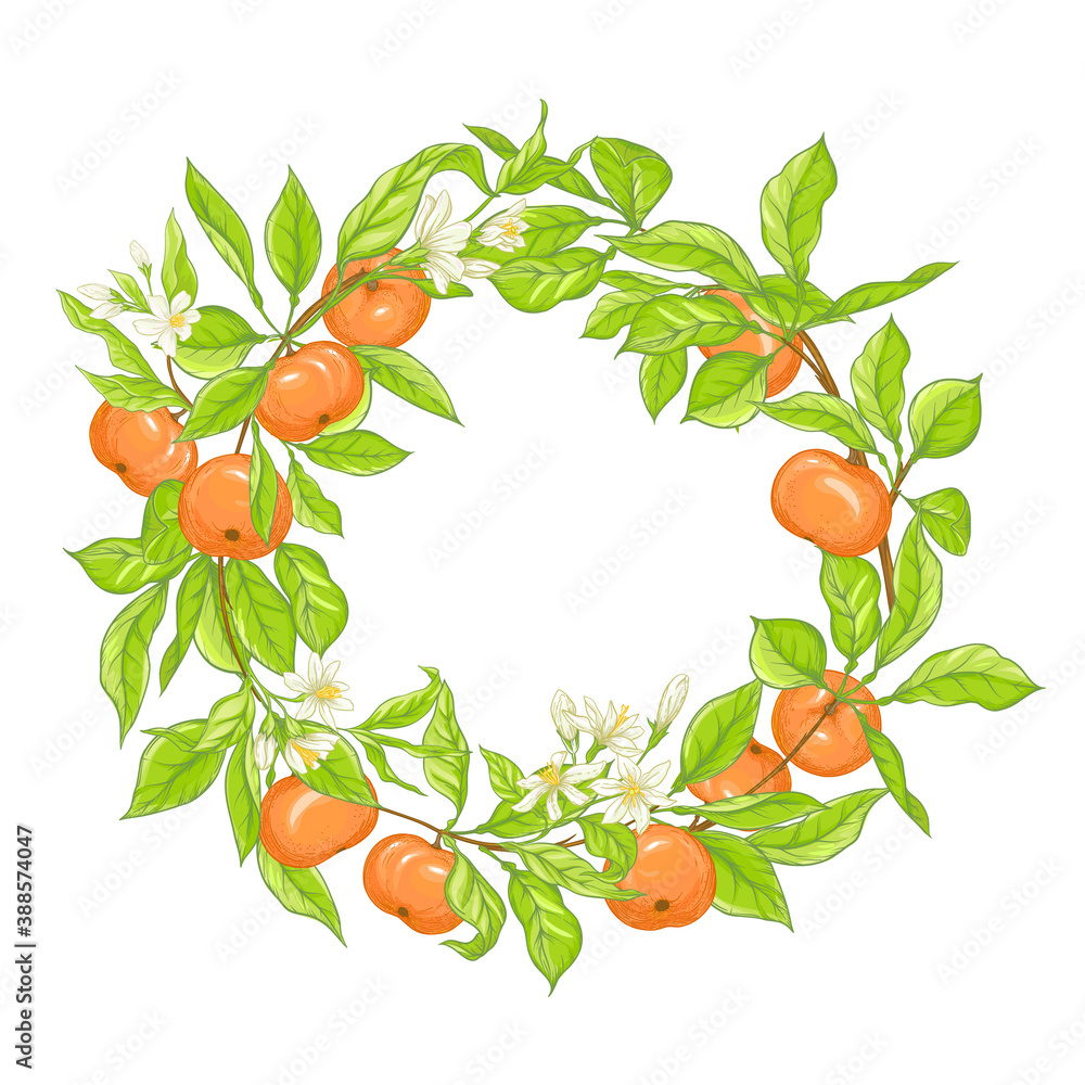 Tangerine Tree Clip Art