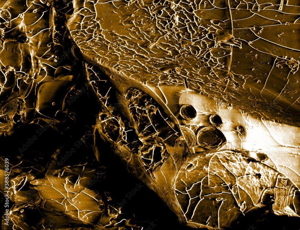 Coffee bean, scanning electron microscopy Stock Photo | Adobe Stock