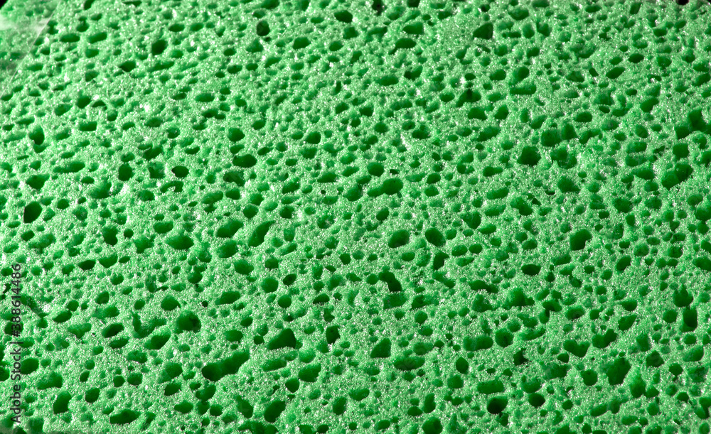 Porous Sponge