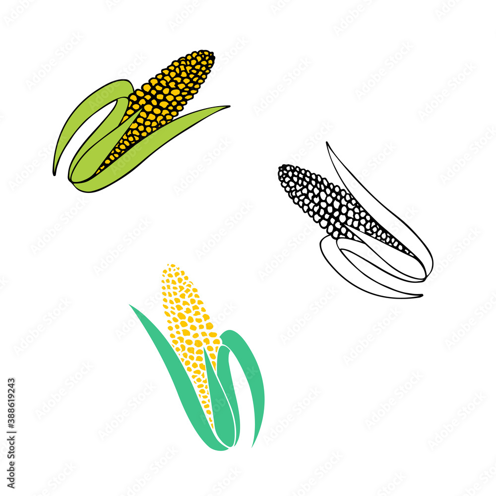 Vector illustration of corn maze for banner, leaflet, poster, clothes ...