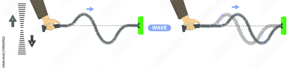 physics. spring stretched. transverse waves. longitudinal. The ...