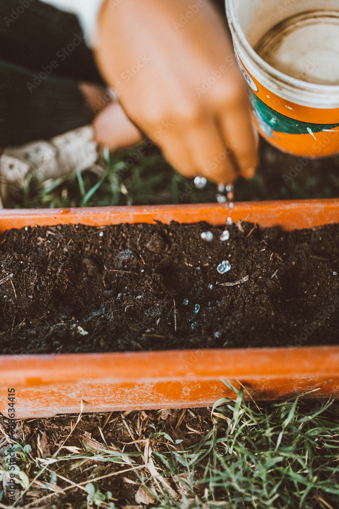 Regando unas semillas Stock Photo | Adobe Stock